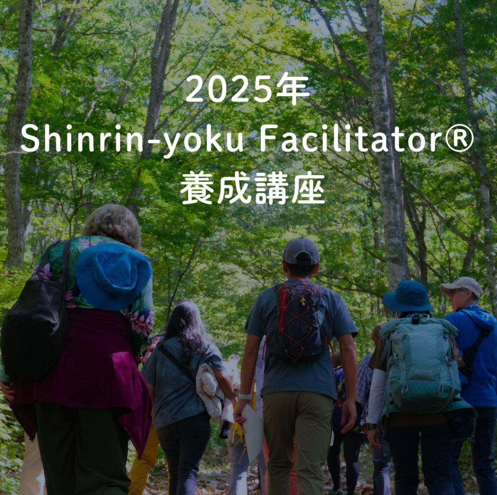 珈琲の木を育て一杯のCoffeeを飲むまで - 森と未来 ―森林浴(shinrin-yoku)で都会の人と、地域の森を繋ぐ―